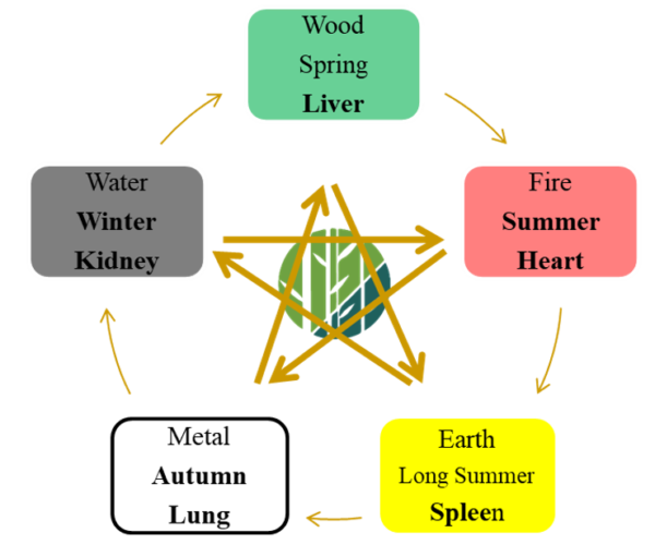Li Chun (Beginning of Spring) 2026 Seasonal Health Update – TCM AND YOU ...